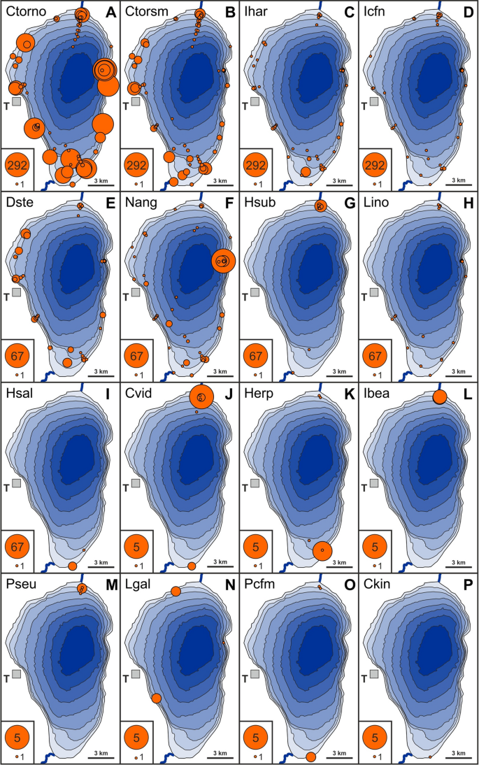 The ostracod distribution in the Sea of Galilee (Levant): species ...