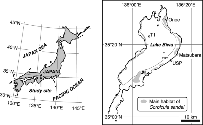 Water-temperature equation based on oxygen isotope records of cultured freshwater bivalve ...