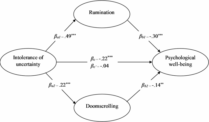 The Impact of Intolerance of Uncertainty on Psychological Well-Being: A ...