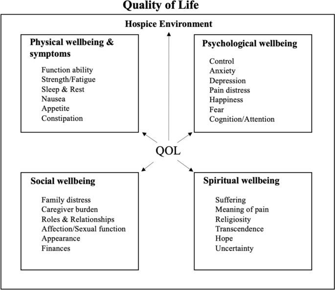 It Takes a Village: Sources of Spiritual Care in Hospice That Support ...
