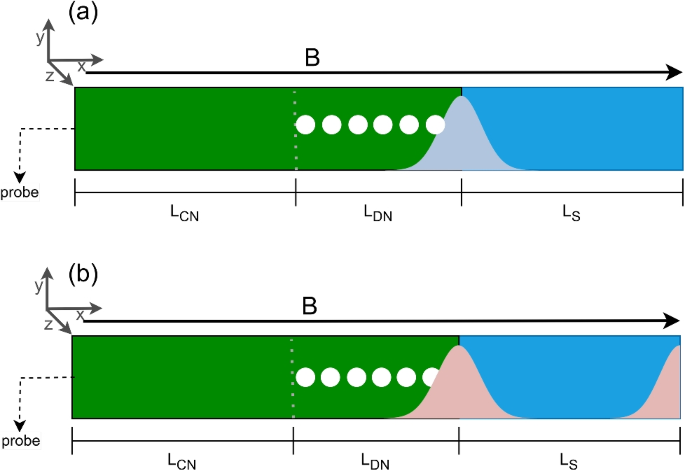 Anomalous Proximity Effect Under Andreev and Majorana Bound States ...