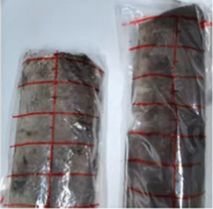 Real-Time Analysis of Salt Scale Dissolution: Enhancing the Traditional ...