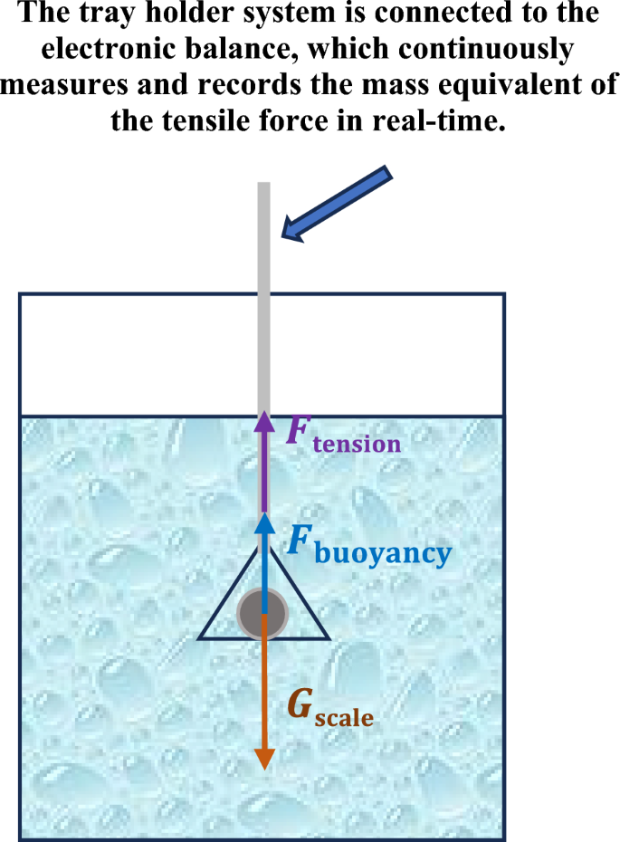 Real-Time Analysis of Salt Scale Dissolution: Enhancing the Traditional ...