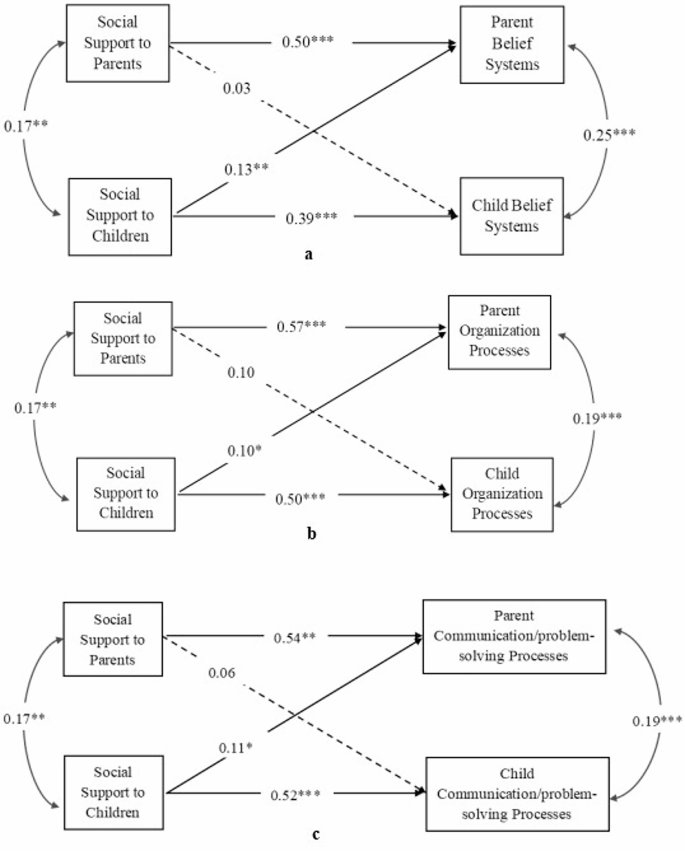 The Role of Social Support and Positive Youth Development Attributes in ...