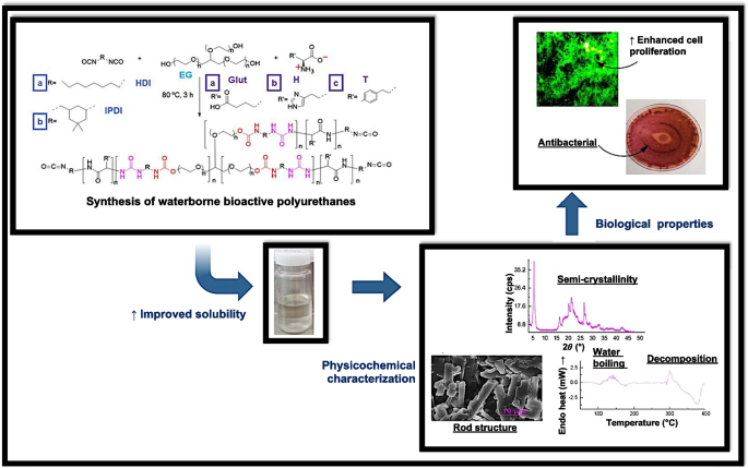 Development of novel bioactive waterborne polyurethanes: Effect of ...