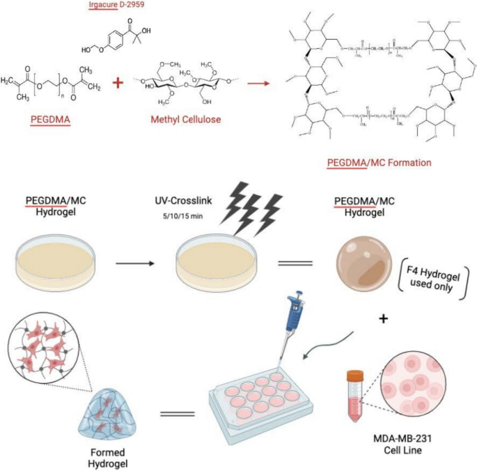 Preparation and characterization of poly(ethylene glycol ...