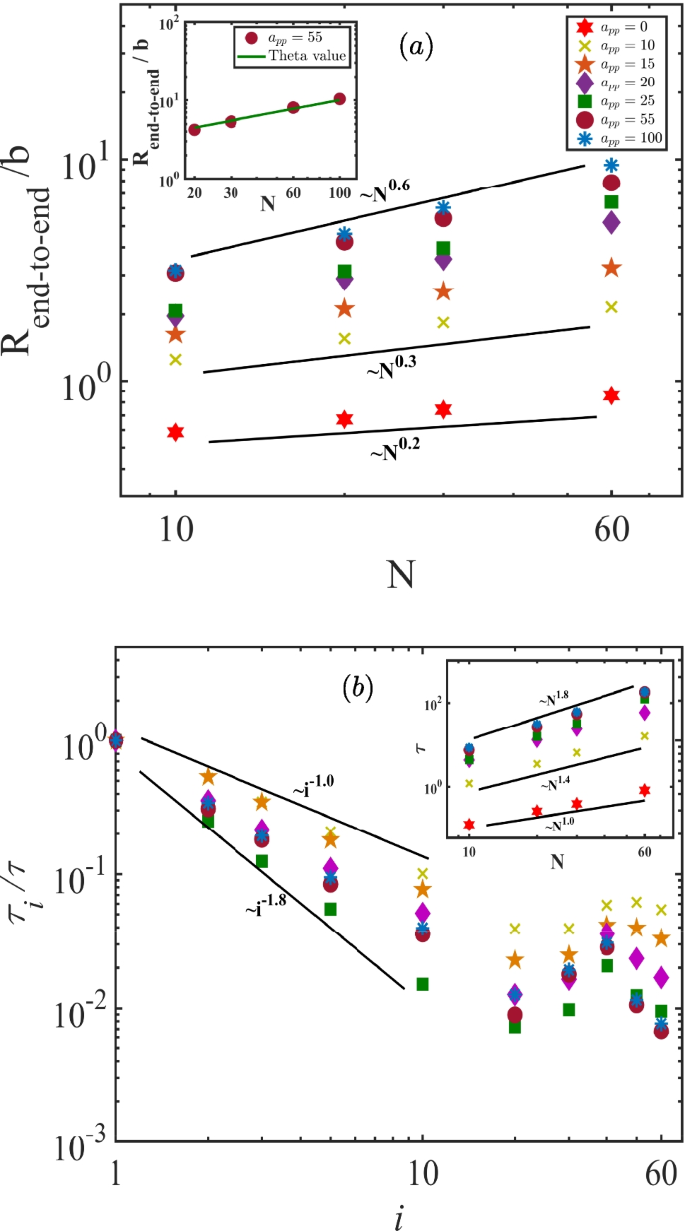 Modeling aspects of excluded volume and hydrodynamic interactions in ...