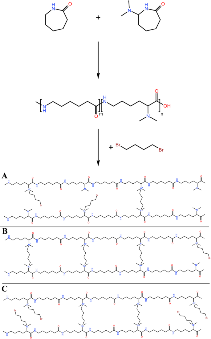 Preparation and properties of cross-linked polyamide 6 based on 1,4 ...