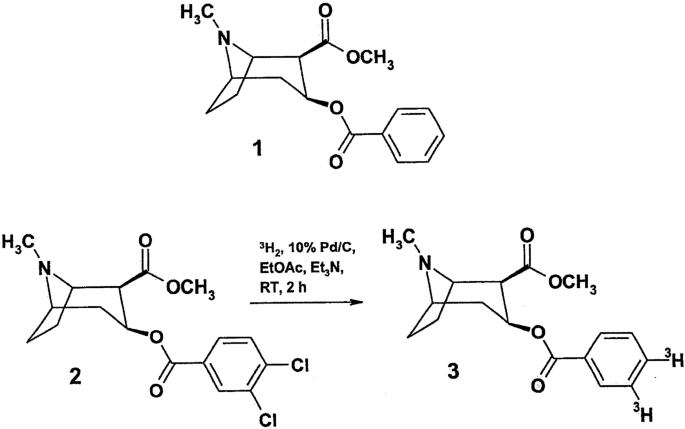 A synthesis of [3H] cocaine at high specific activity | Journal of ...