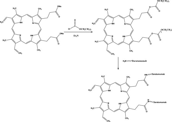 Radiolabeling of protoporphyrin-daratumumab conjugate with 161Tb as a ...