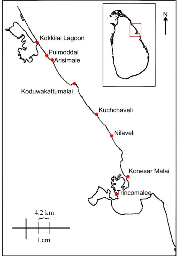 A natural radioactivity assessment from Trincomalee to Kokkilai coastal ...