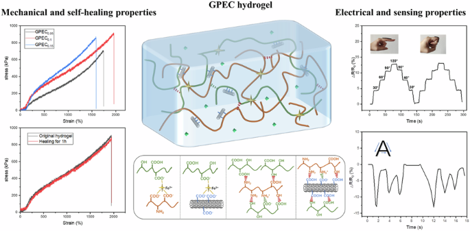 Multifunctional robust dual network hydrogels constructed via dynamic ...