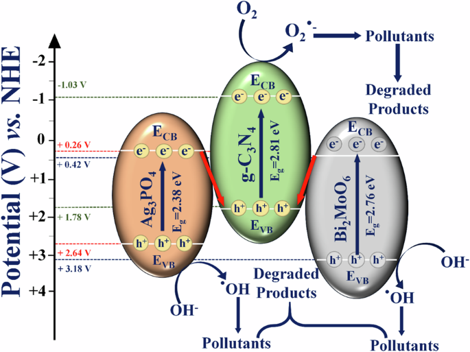 Fabrication of a dual Z-scheme Ag3PO4/g-C3N4/Bi2MoO6 ternary nanocomposite for effective ...