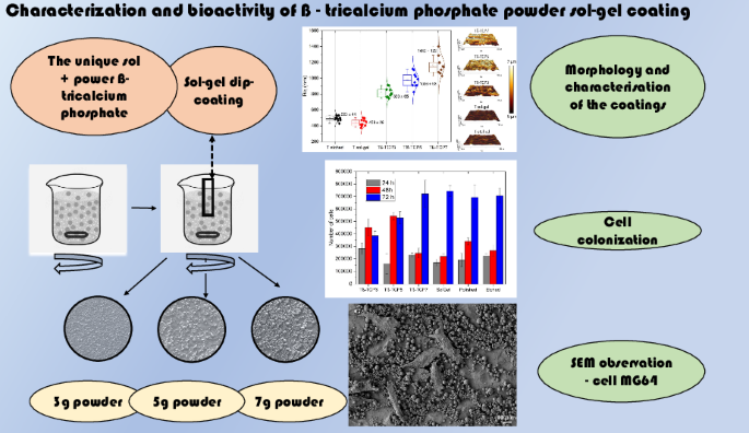 Characterization and bioactivity of β-tricalcium phosphate powder sol ...