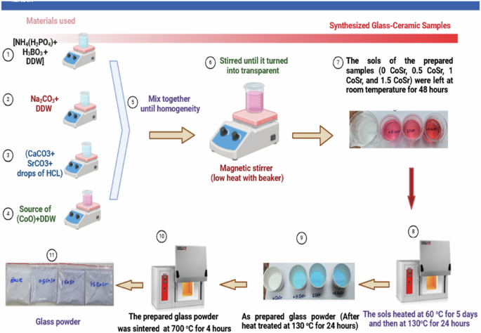 Sol- gel synthesis and in-vitro studies of cobalt and strontium co-doped borate bioactive glass ...