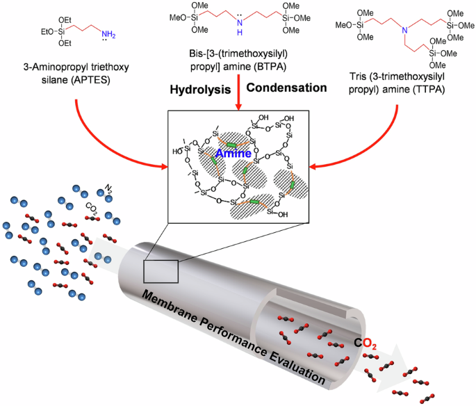 Investigation of CO2/N2 separation capabilities for various amine-functionalized organosilica ...