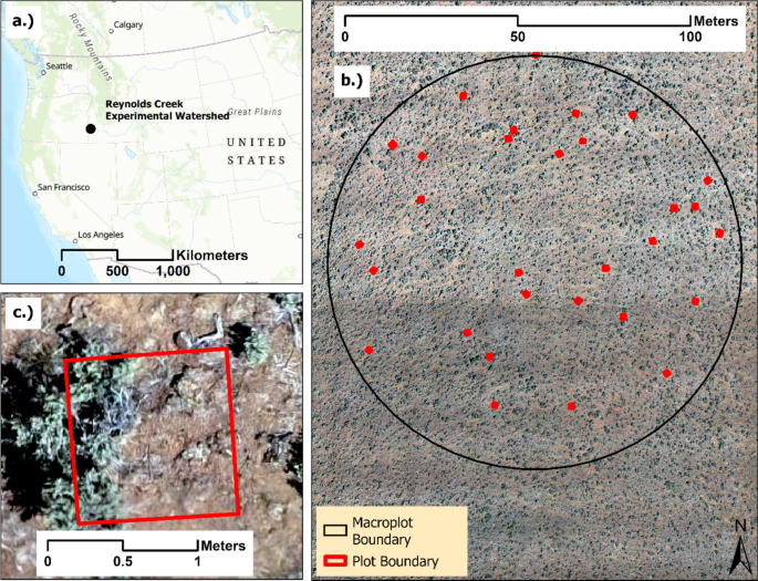 Estimation of leaf area index in sagebrush steppe with low cost ...