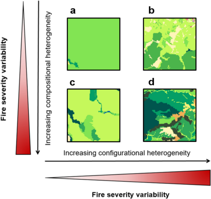Fire severity shapes landscape heterogeneity in Mediterranean forest ...
