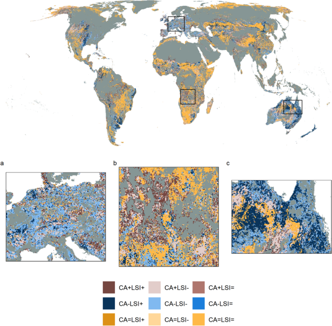 Global assessment of landscape pattern changes from 1992 to 2020 ...