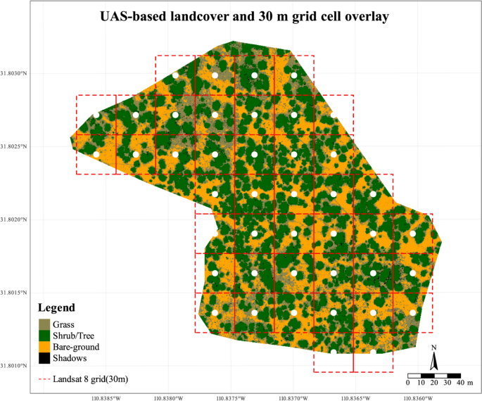 Integrating unoccupied aerial systems and satellite data to map the ...