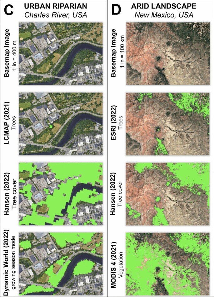 A comparison shopper’s guide to forest datasets | Landscape Ecology ...