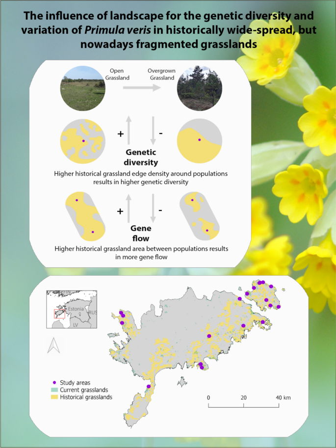 Landscape genetics in plants: challenges and insights from the XX ...