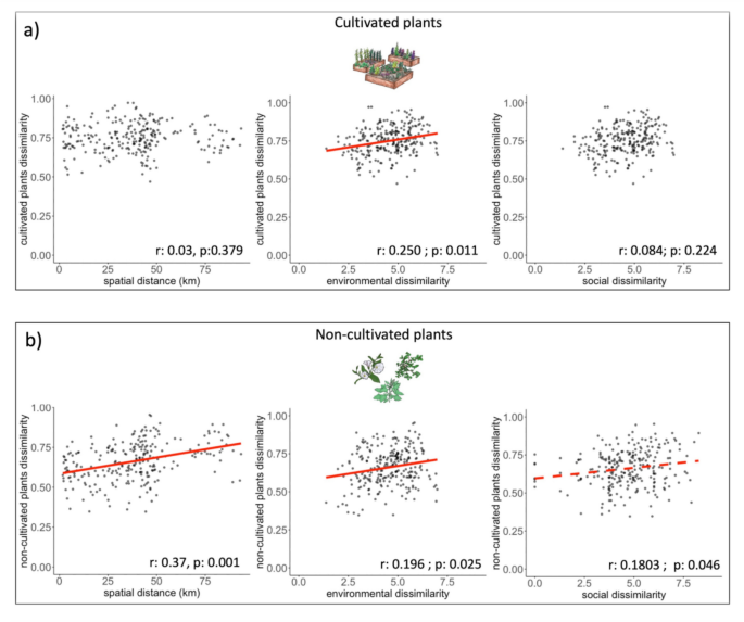 Metacommunities in community gardens: relative strength of ...