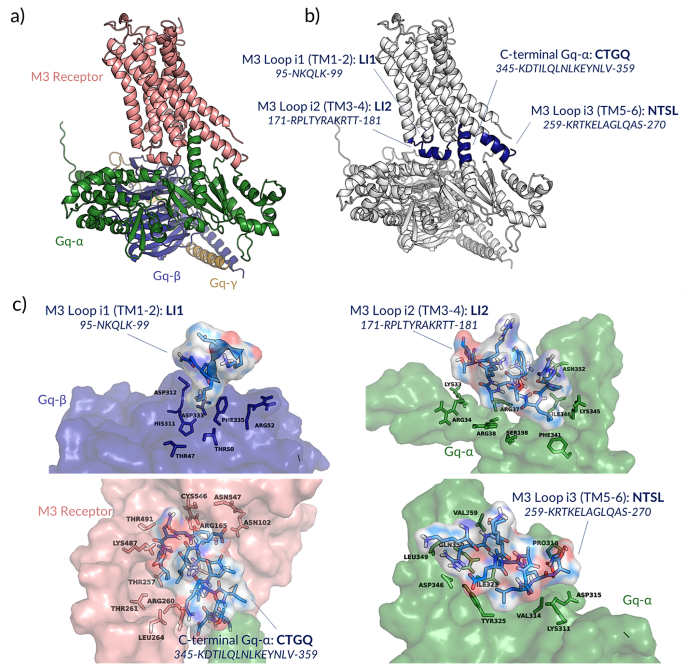Design and Validation of Novel Potential Antiperspirant Peptides ...
