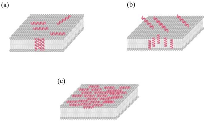 Host Defense Peptides: Exploiting an Innate Immune Component Against ...