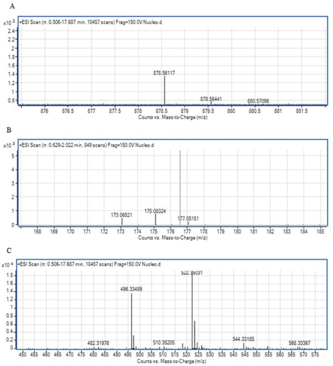 Development of a UCOE-Based Lentiviral Vector System for Recombinant ...