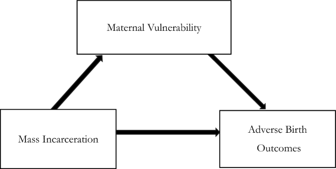 Mass Incarceration, Maternal Vulnerability, and Birth Outcomes Across U.S. Counties | Maternal ...