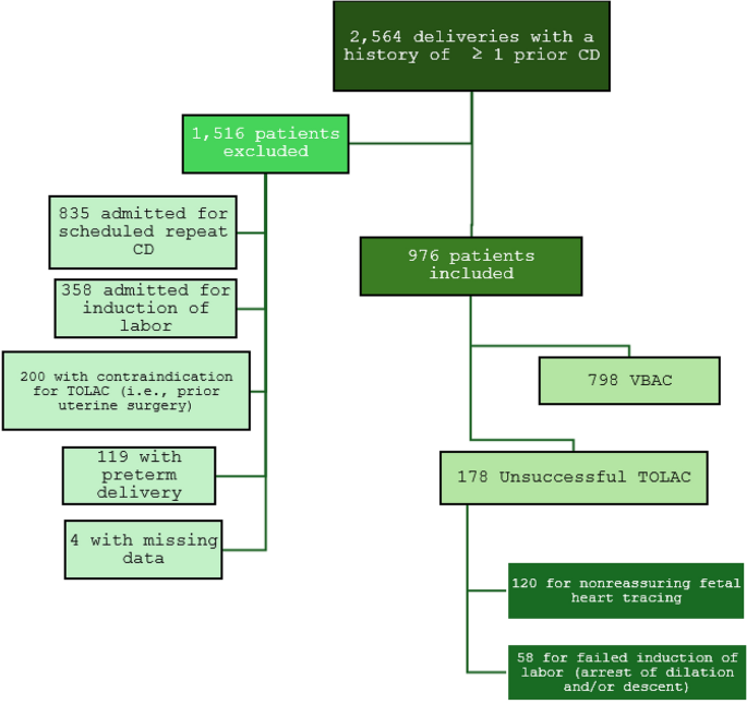 Social Vulnerability is Associated with Greater Risk of Cesarean ...