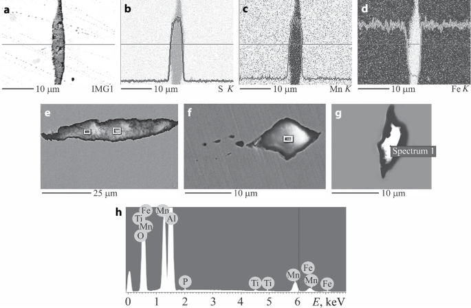 Evolution of nonmetallic inclusions during hot rolling of steels ...