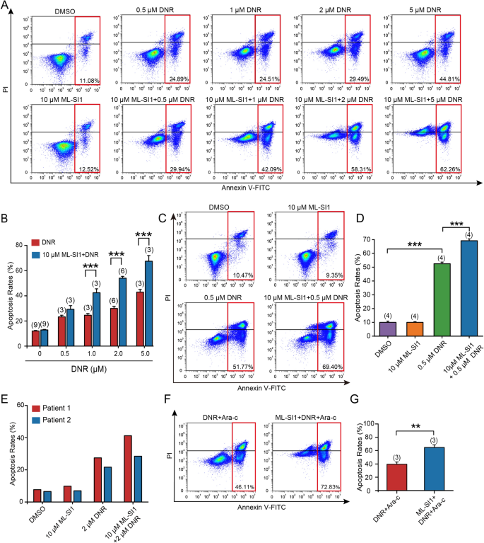 Lysosomal cation channel TRPML1 suppression sensitizes acute myeloid leukemia cells to ...