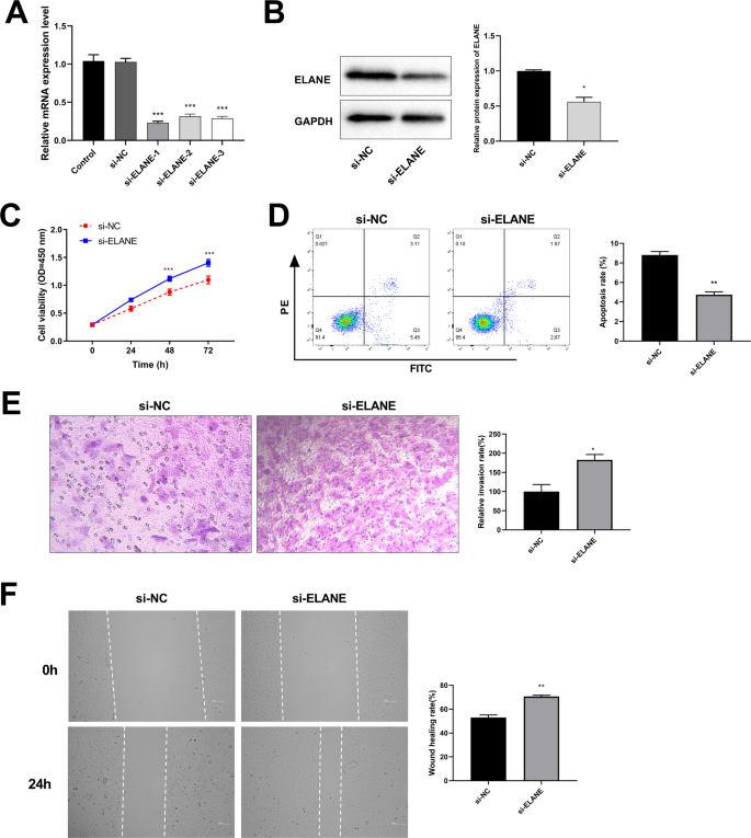 ELANE inhibits the progression of osteosarcoma via suppressing the ...