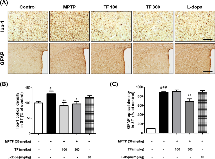 Tribuli Fructus alleviates 1-methyl-4-phenyl 1,2,3,6-tetrahydropyridine ...