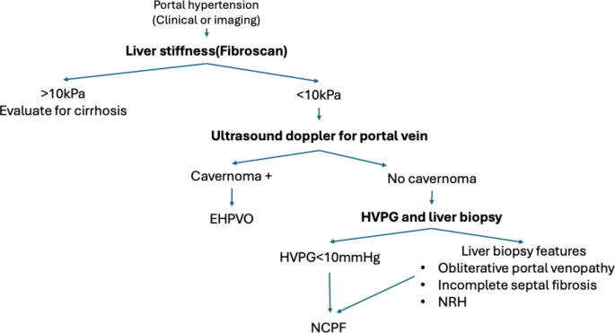 Hepatic encephalopathy in non-cirrhotic portal hypertension | Metabolic ...