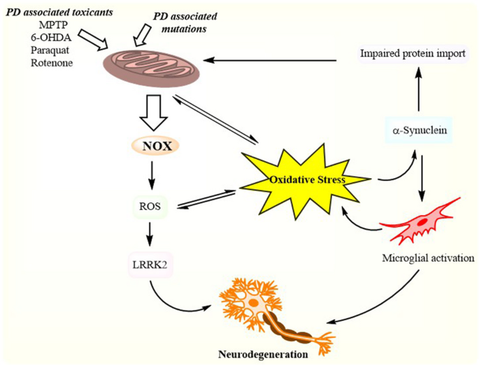 Targeting NOX inhibitors in neurodegeneration: a therapeutic ...