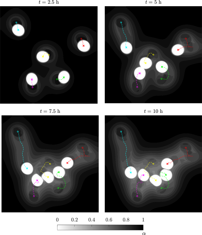 Computational modeling of cell motility and clusters formation in ...