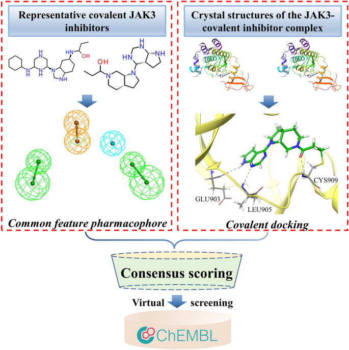 Identification of novel covalent JAK3 inhibitors through consensus ...