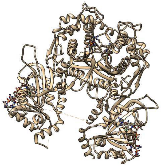 Discovery of novel Plasmodium falciparum PfDHFR-TS inhibitors from ...