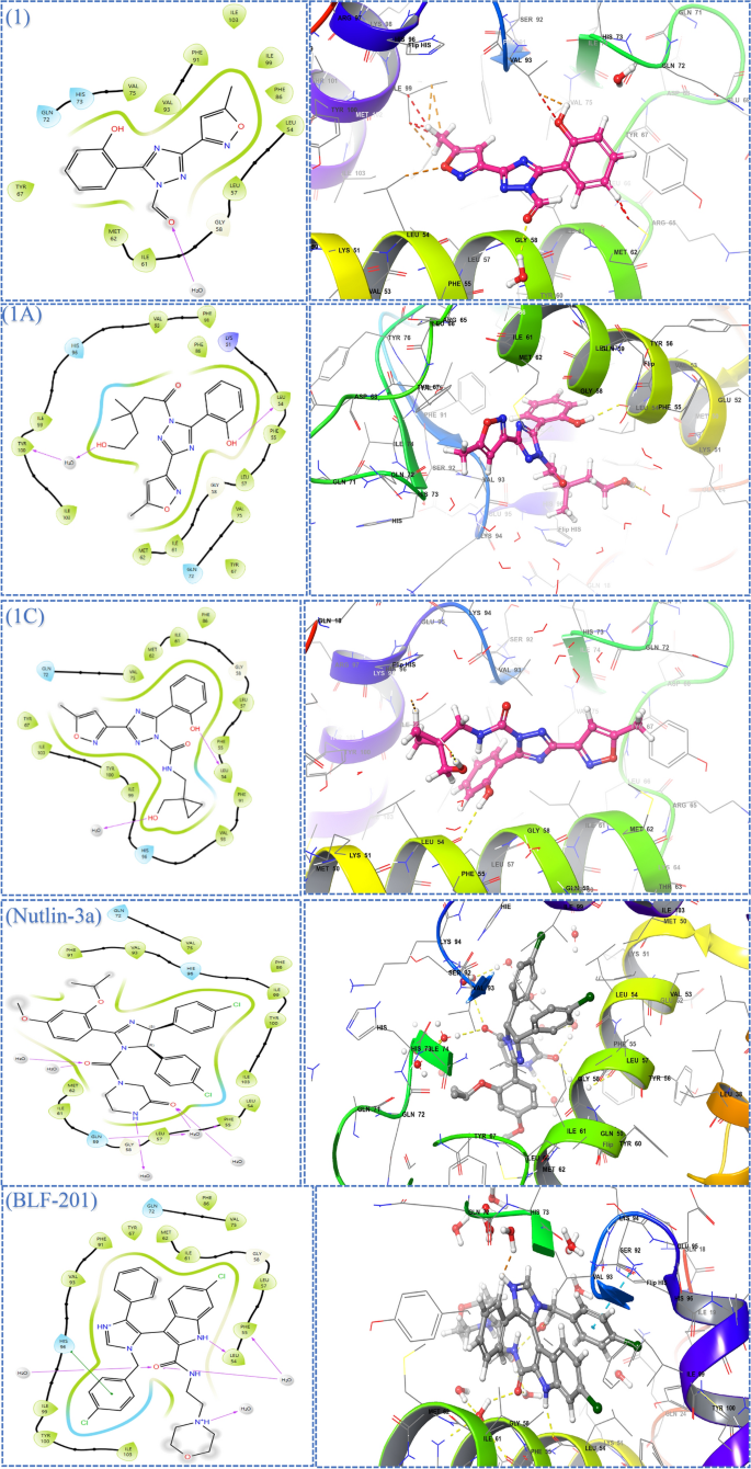Targeting p53–MDM2 pathway with novel triazole–oxazole hybrids: a fragment-based drug discovery ...