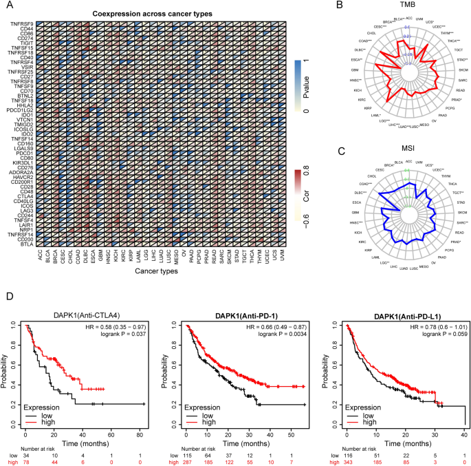 Death associated protein kinase 1 predicts the prognosis and the ...