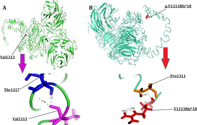 Molecular genetics, neuroimaging outcomes, and structural analyses of ...