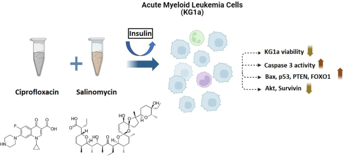 A biochemical assessment of apoptosis-inducing impact of Salinomycin in ...