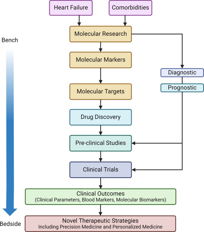 Molecular remodeling in comorbidities associated with heart failure: a ...