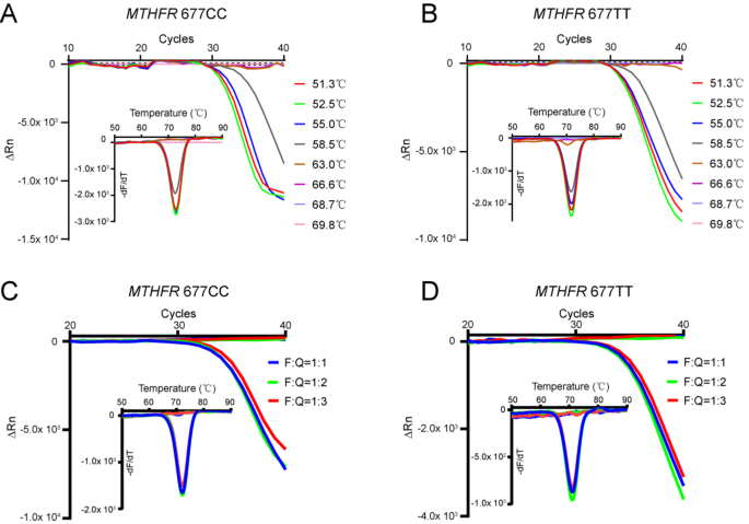 Fluorescent primers amplification refractory mutation system qPCR (FP ...