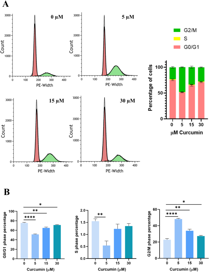 Dose-dependent effects of curcumin on 22Rv1 prostate cancer cell line ...