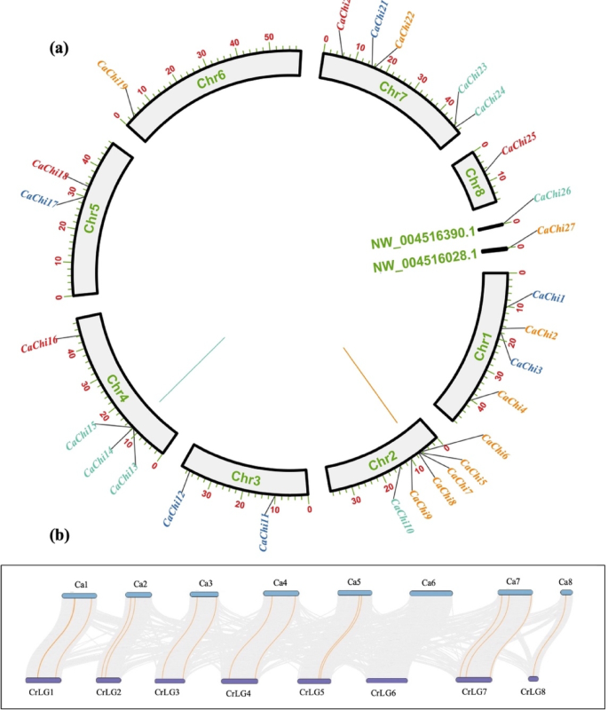 Genome-wide characterization and expression analysis of the chitinase ...