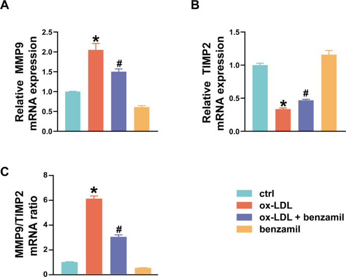 Epithelial sodium channel in dendritic cells participates in high-fat ...